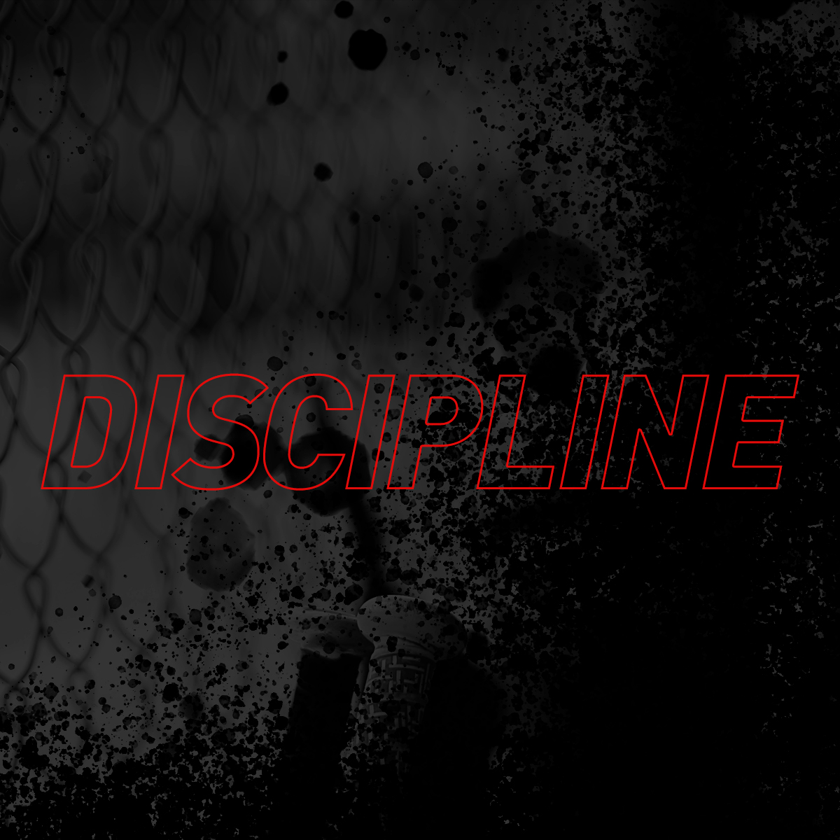 Discipline - Baseball Haute Saint-Charles